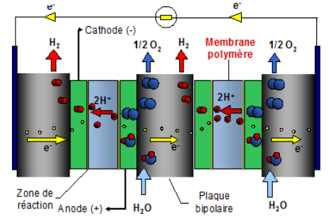 PEM Electrolysis for hydrogen production from water: is platinum strictly required ? | IFPEN