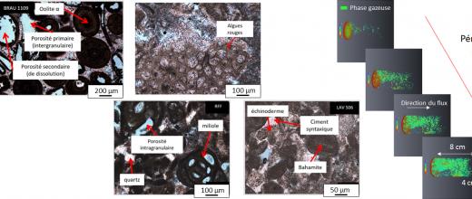Petrophysics-geochemistry: Carbonate properties revealed by electrical ...