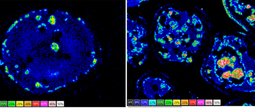 CO2 CAPTURE: CLARIFYING CHEMICAL LOOPING COMBUSTION (CLC) | IFPEN